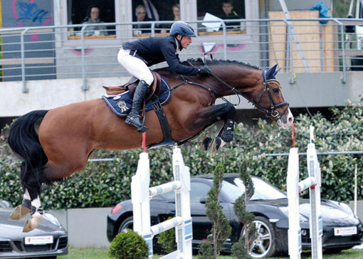 Deckstation Paul Schockemohle | International Horse Breeders