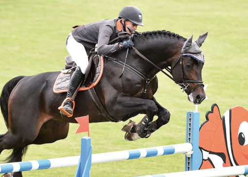 Deckstation Paul Schockemohle | International Horse Breeders