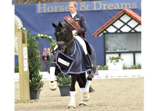 Totilas | warmblood | International Horse Breeders
