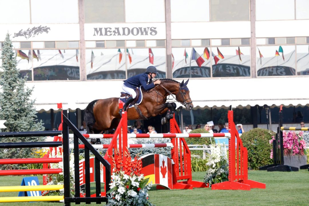 Deckstation Paul Schockemohle - International Horse Breeders