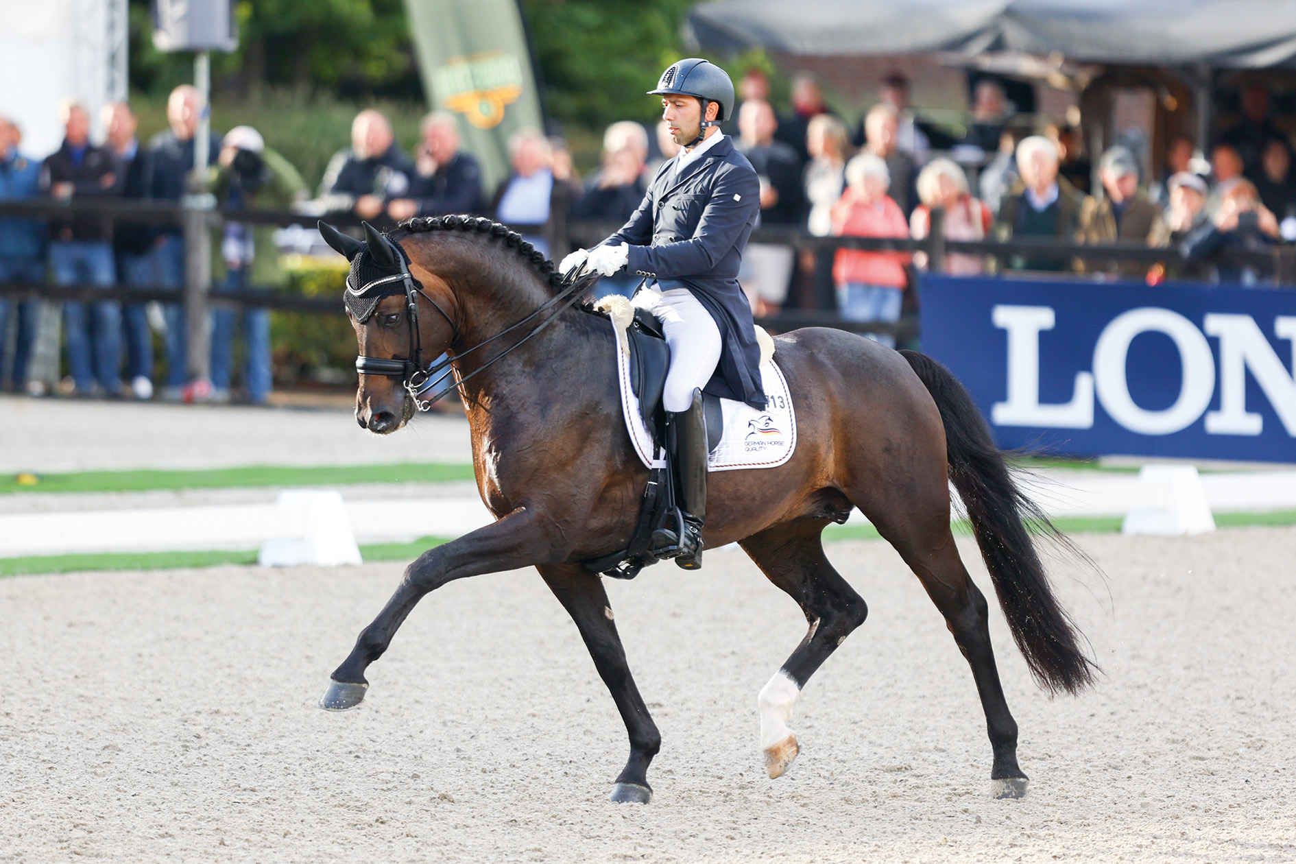 All Star | Deckstation Paul Schockemohle | International Horse Breeders